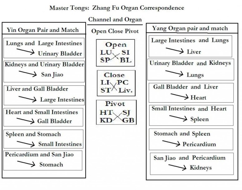 Master Tong’s Acupuncture – Yongnian Tai Chi