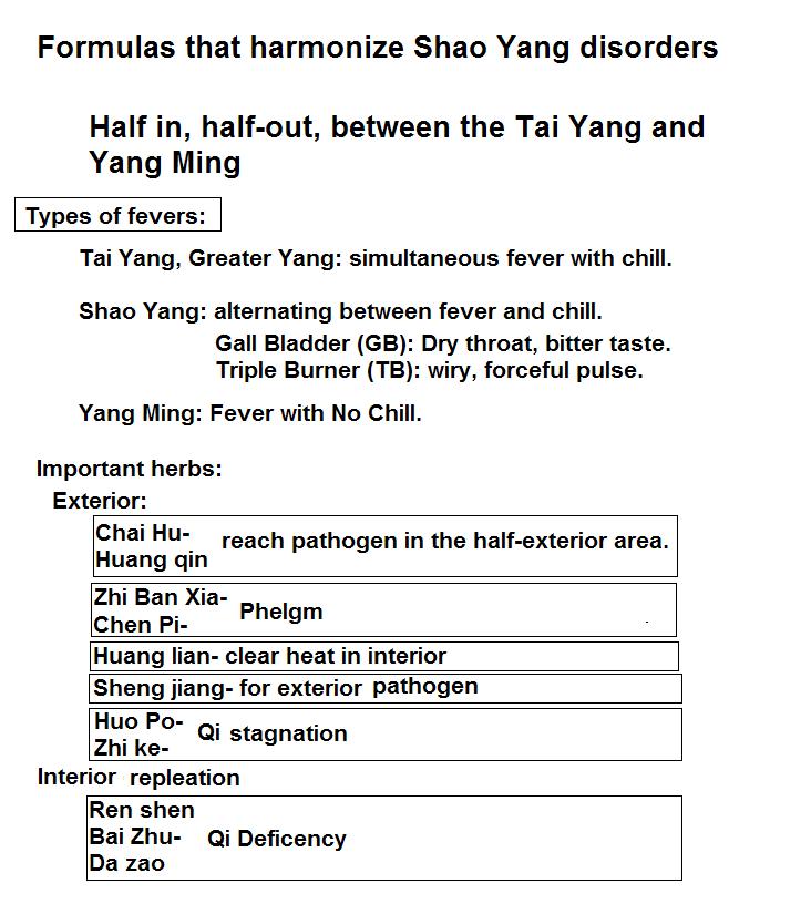 Chinese Herbal formulas II – Yongnian Tai Chi